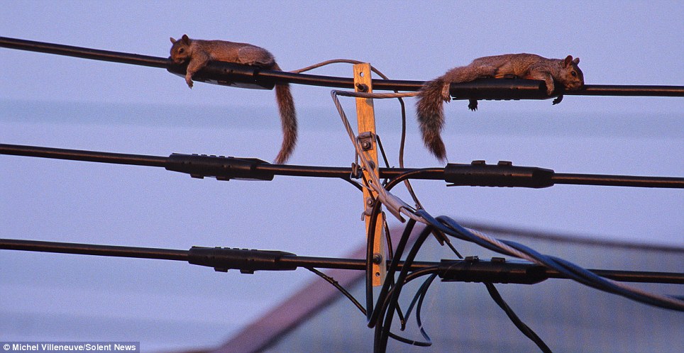 Everyone Is an Expert